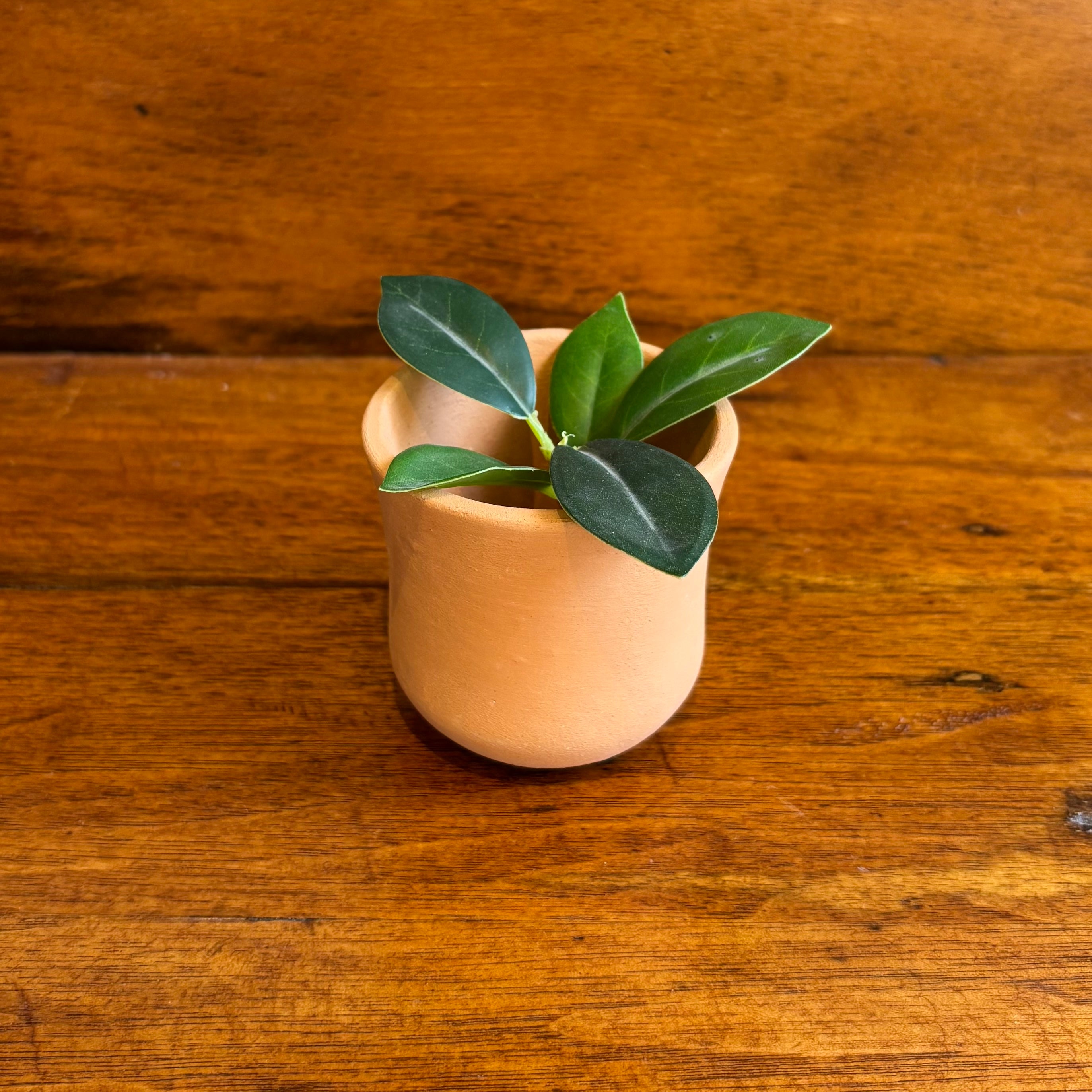 Terracotta Petit Pot – TIN BARN MARKET