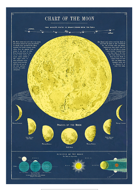Poster - Moon Chart – TIN BARN MARKET